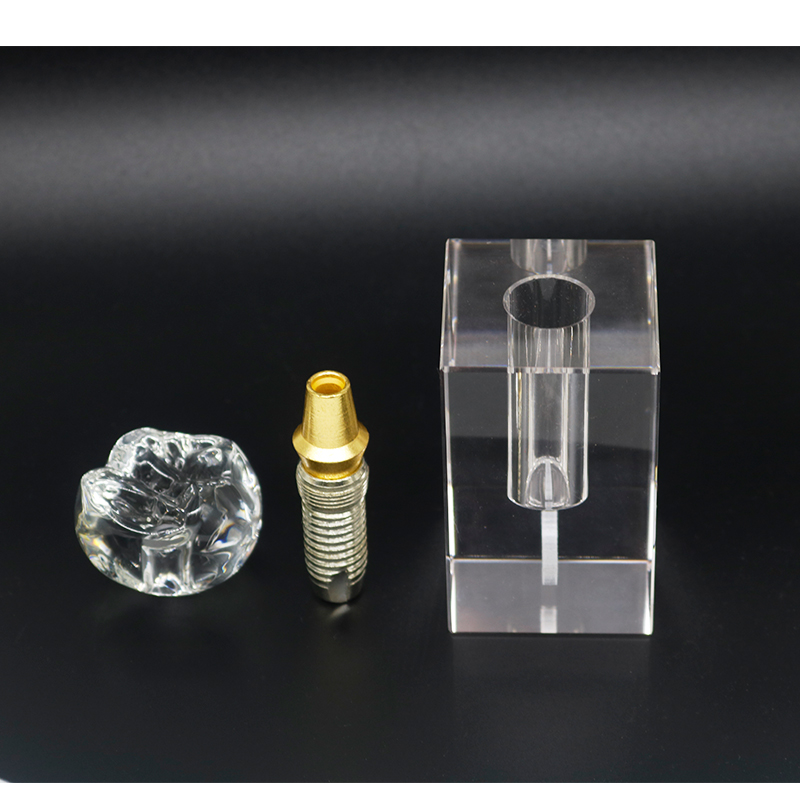 3x Size Dentistry Teeth Adult Model Detachable Dental Crystal Implant ...