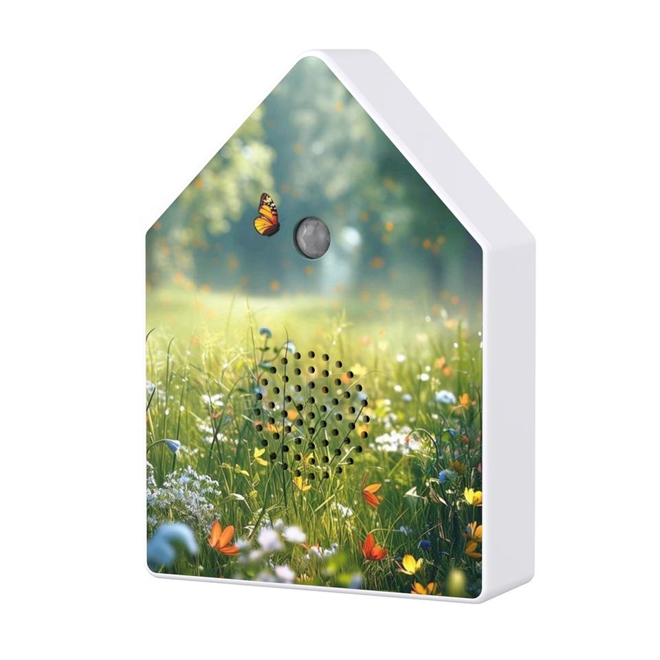 Bird Vocal Bird Chirping Music Box Sound Therapy Machine with Motion ...