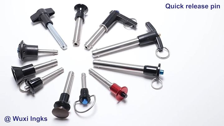 D Ring Shouldered Ball Lock Pin Quick Release Pin - INGKS