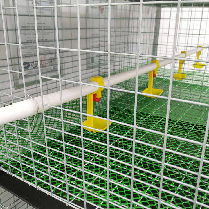 Automatic Chicken Breeding Equipment - Galvanized Cages