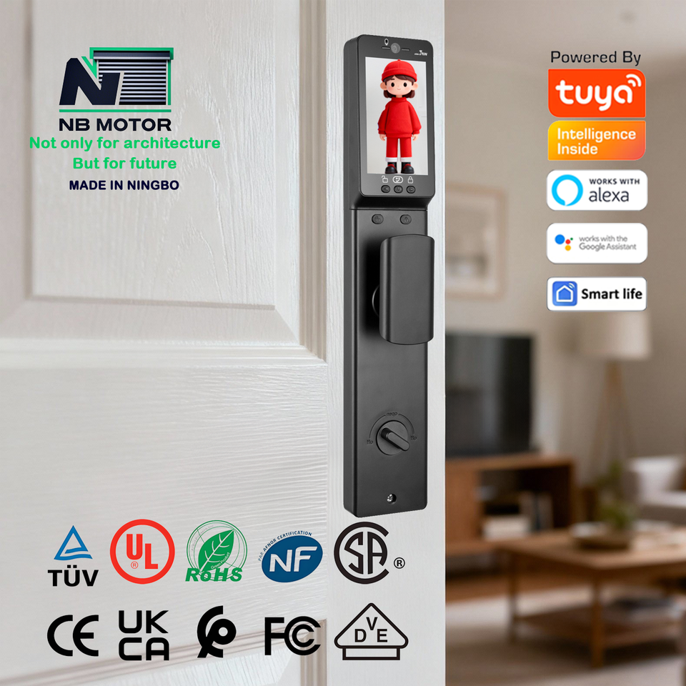 NB Motor Tuya WiFi Face Recognition Door Lock Smart Handle Keyless ...