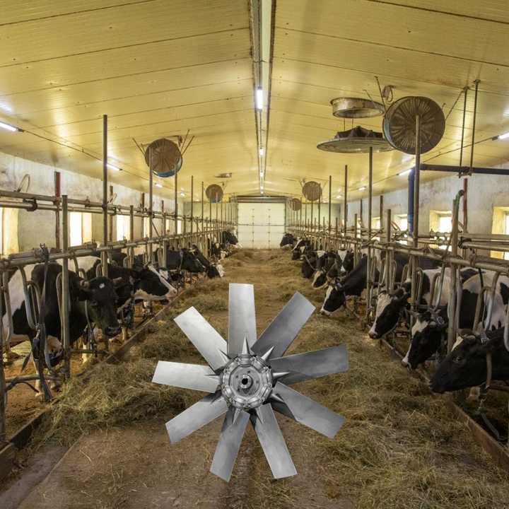 Cost Steel Axial Flow Fans for Cow Shed House Comfort for Dairy Barns ...