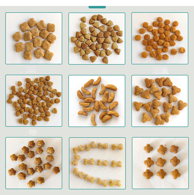 DingHuo Dry Pet Food Extruder Machine Customized DGP200-B 1.8Ton/h 2026 ...