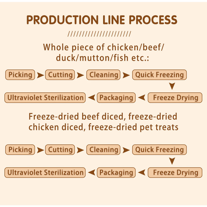 TCA Automatic Food Lyophilizer - High Productivity & Quality