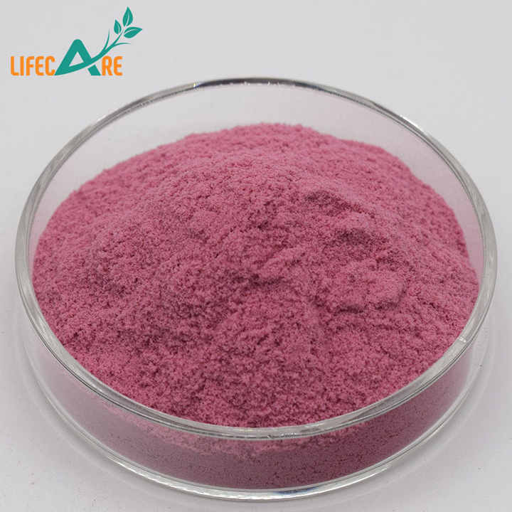 High Quality Beetroot Powder Powder Water Soluble Beet Root Powder ...