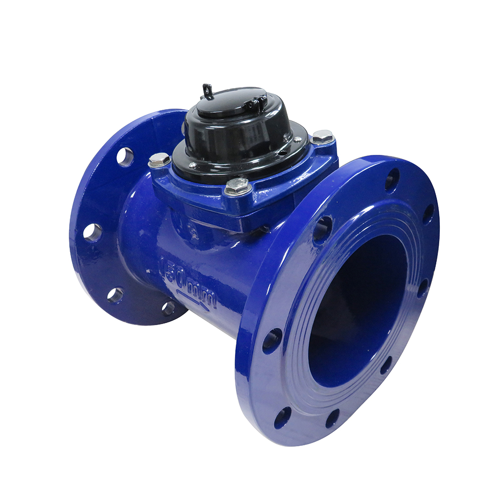 150mm Mechanical Water Meter - Brass Body Dry Type