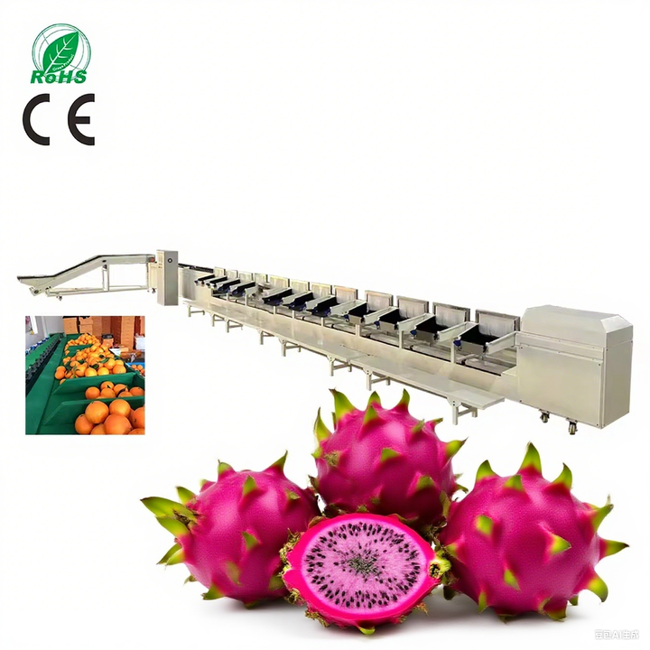 Dragon Fruit Grading and Waxing Machine| Alibaba.com
