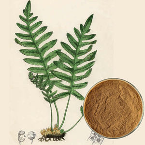 Versatile polypodium leucotomos extract powder for use in Various ...