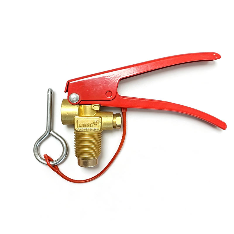 Welfare Russian Standard CO2 Fire Extinguisher Valve PZ19.20 Thread ...