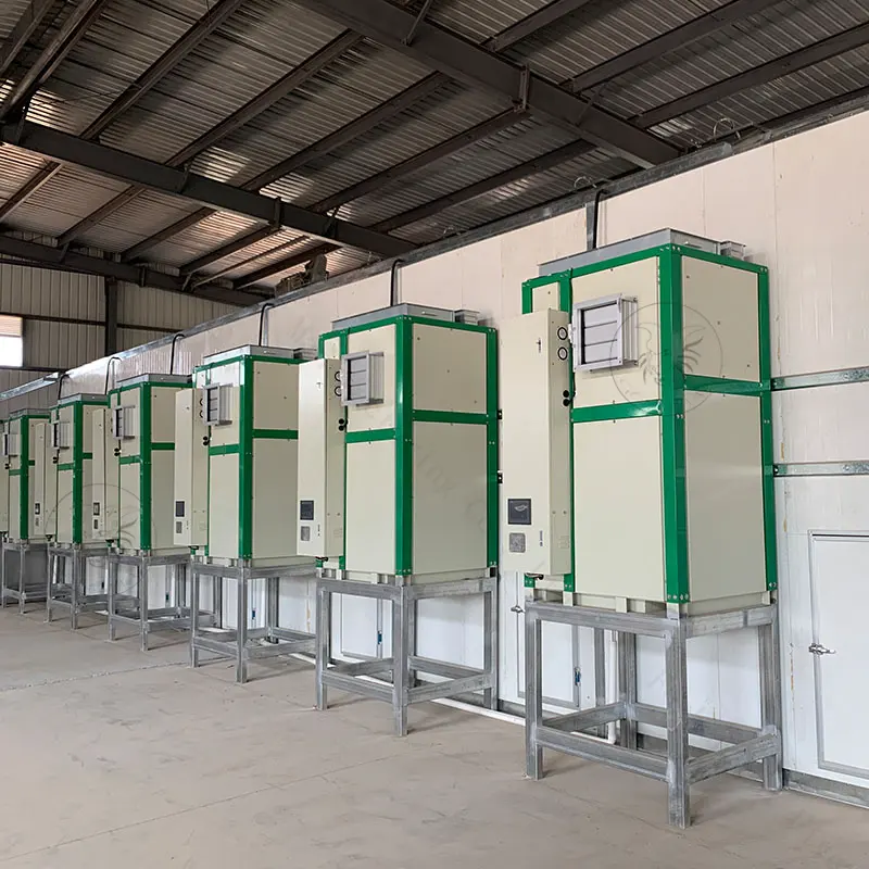 Boost Efficiency with Premium macadamia nut primari process line ...