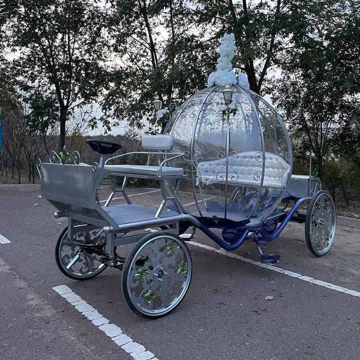 Perfect Cinderella Princess Carriage/Royal Luxury Wedding Carriage ...