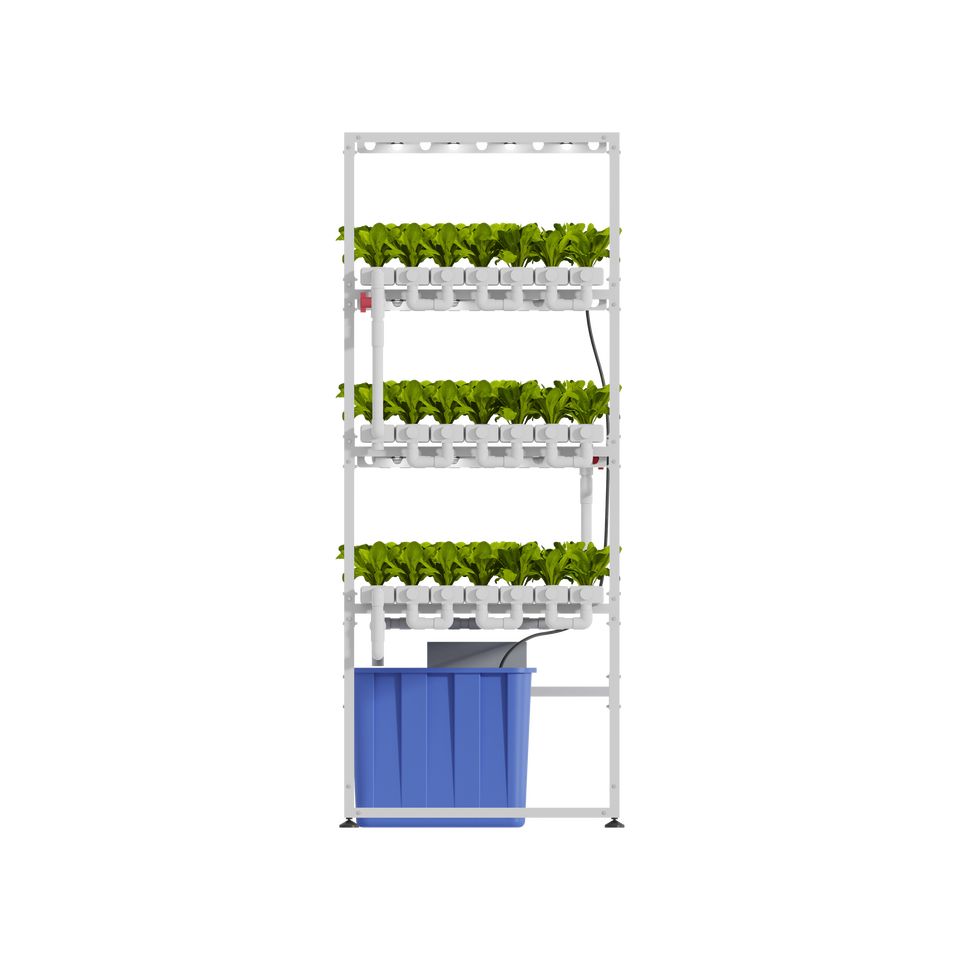 Six-Meter Long Vertical Eco-Friendly Hydroponic Farm Rack with 1 Year ...