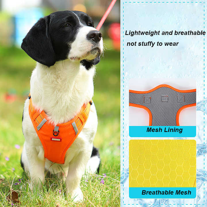 Wholesale Premium Personalized Dog Harness Set Luxury