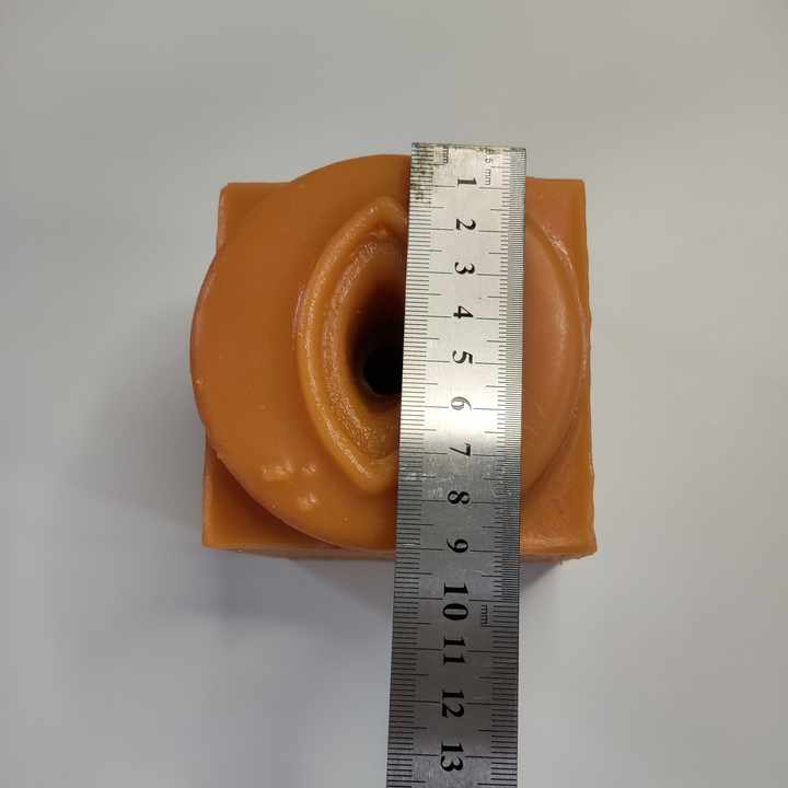 KyrenMed Female Lateral Episiotomy Training Model Gynecological Surgery ...