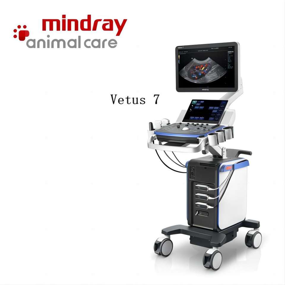 Mindray Vetus 7 Veterinary Ultrasound System – Color Doppler Imaging ...