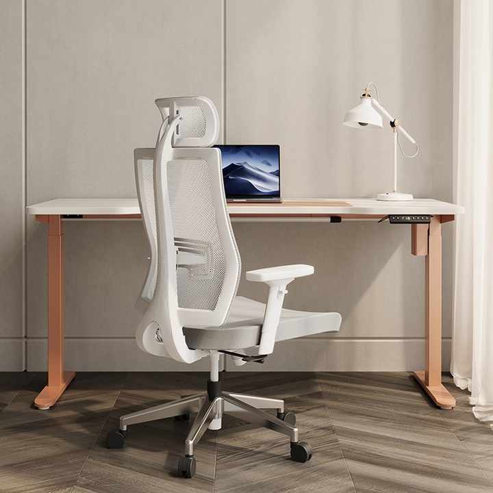 Modern Electric Lift Home Office Computer Desk Panel Wood Style for ...