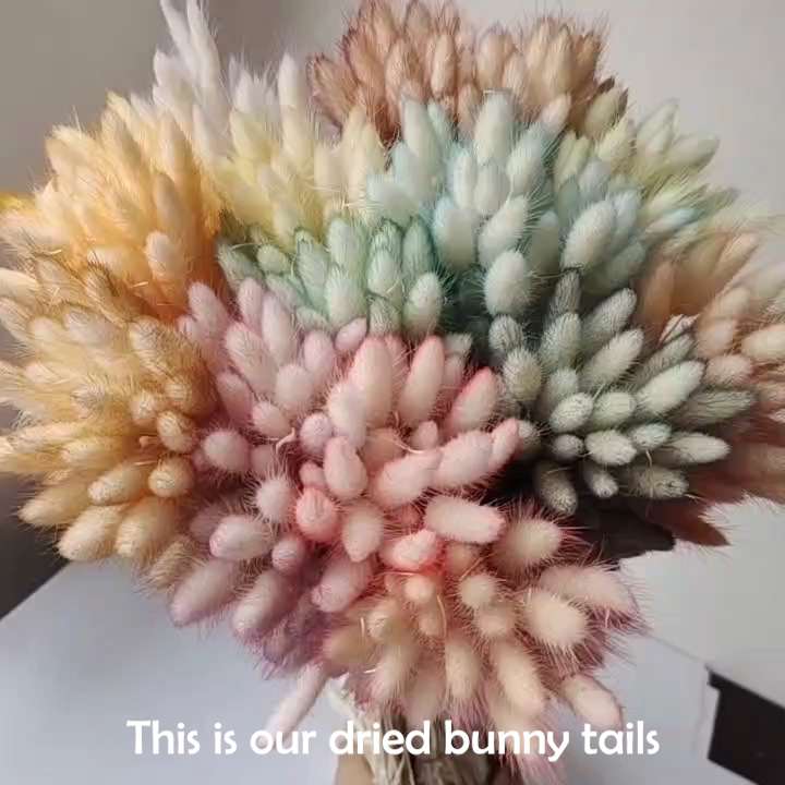 Dried Bunny Tails Flower Bouquet For Home Decor & Weddings