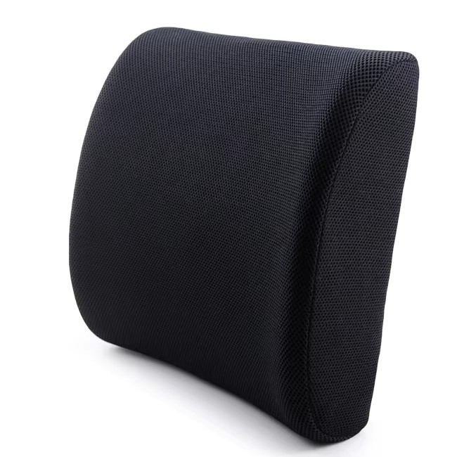 How to Choose the Best Posture Pal: A Complete Buying Guide
