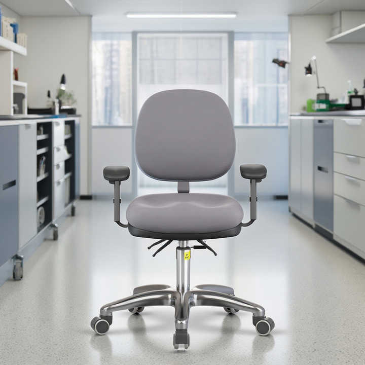 Laboratory Chairs Esd Lab Fabric Anti-static Backrest Workshop ...