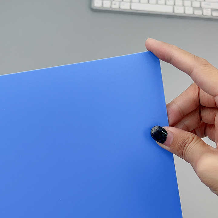 A4 PP Plastic File Folder - Eco-Friendly & Durable Organizer