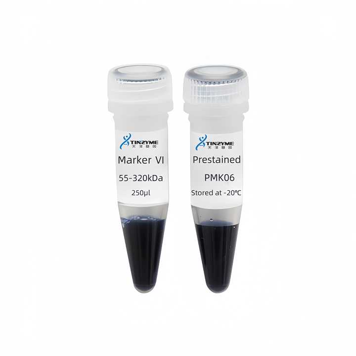 Tinzyme Prestained Protein Marker VI (55-320kDa),Suitable As a Protein ...