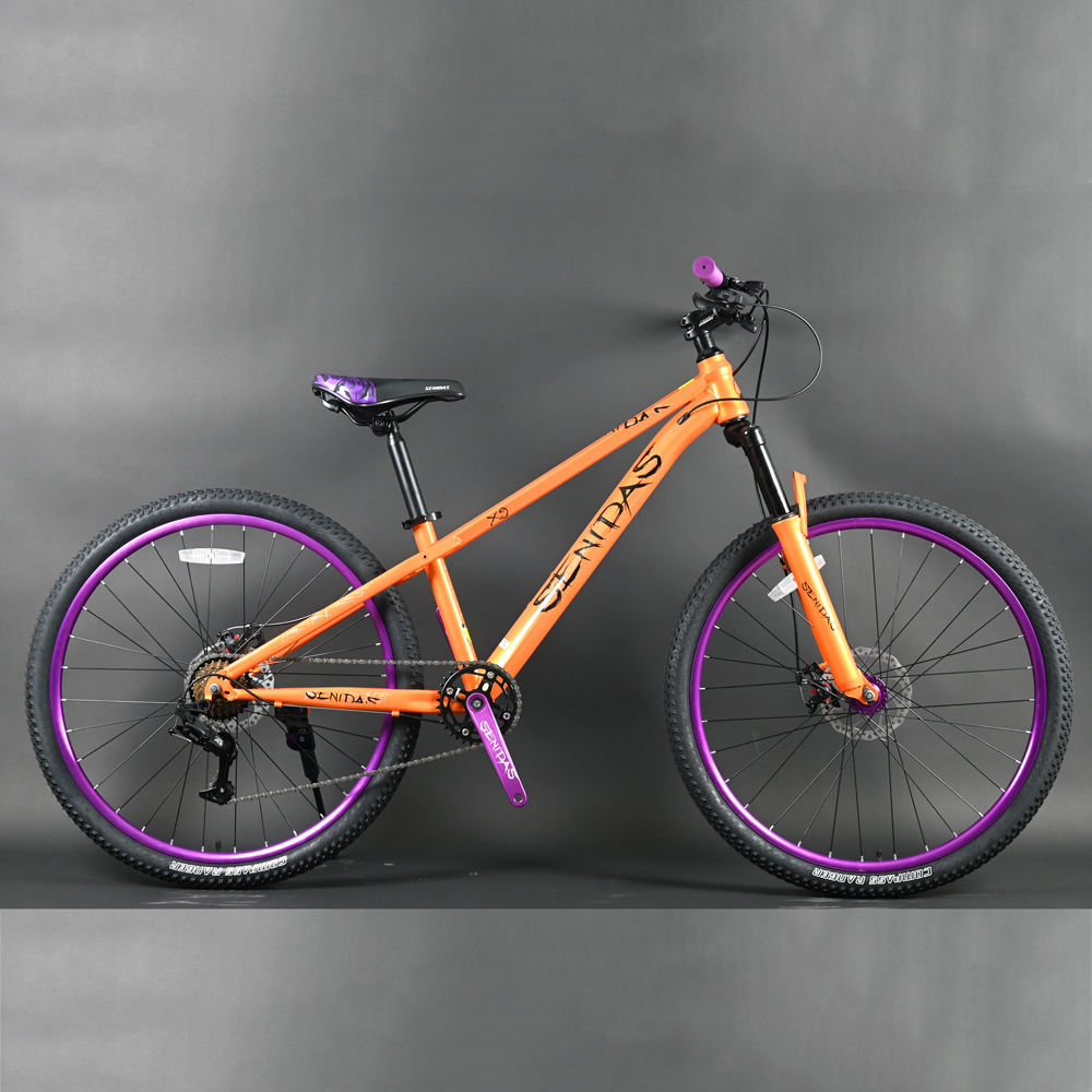 How to Choose a High Quality Downhill Mountain Bike: Expert Buying Guide