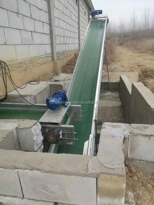 Efficient Chicken Manure Removal System for Farms