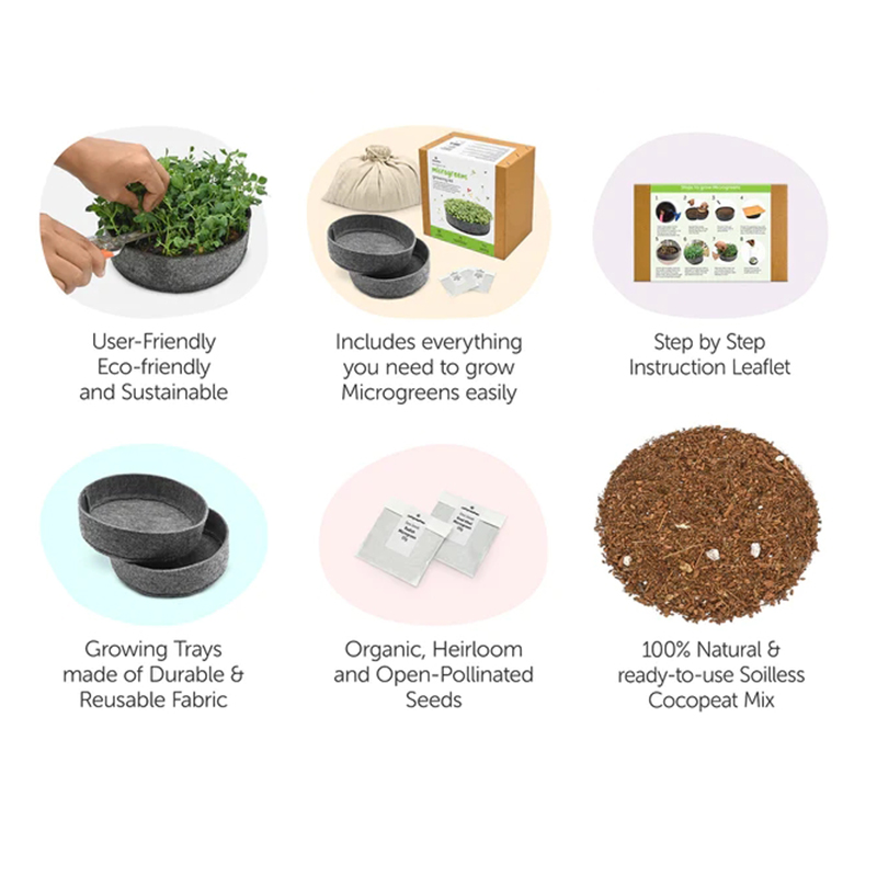 How to Choose the Best DIY Microgreen Kit for Home Growing