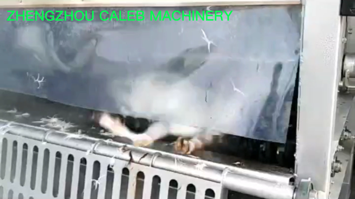 Hog Slaughterhouse Line Pig Scalding Dehair Machine Plucking Machine ...