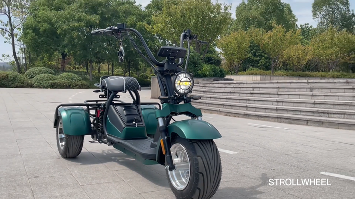 citycoco 3000w eu warehouse citycoco electric scooters powerful adult ...