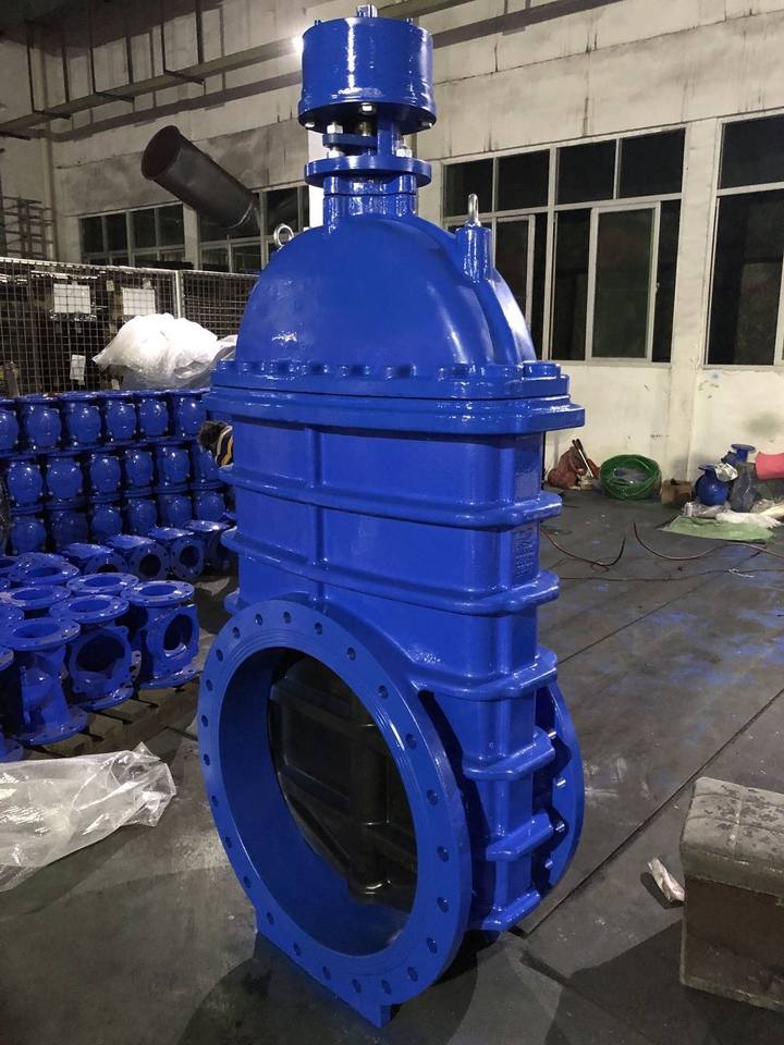 Large Diameter Resilient Seated Wedge Gate Valve DN700