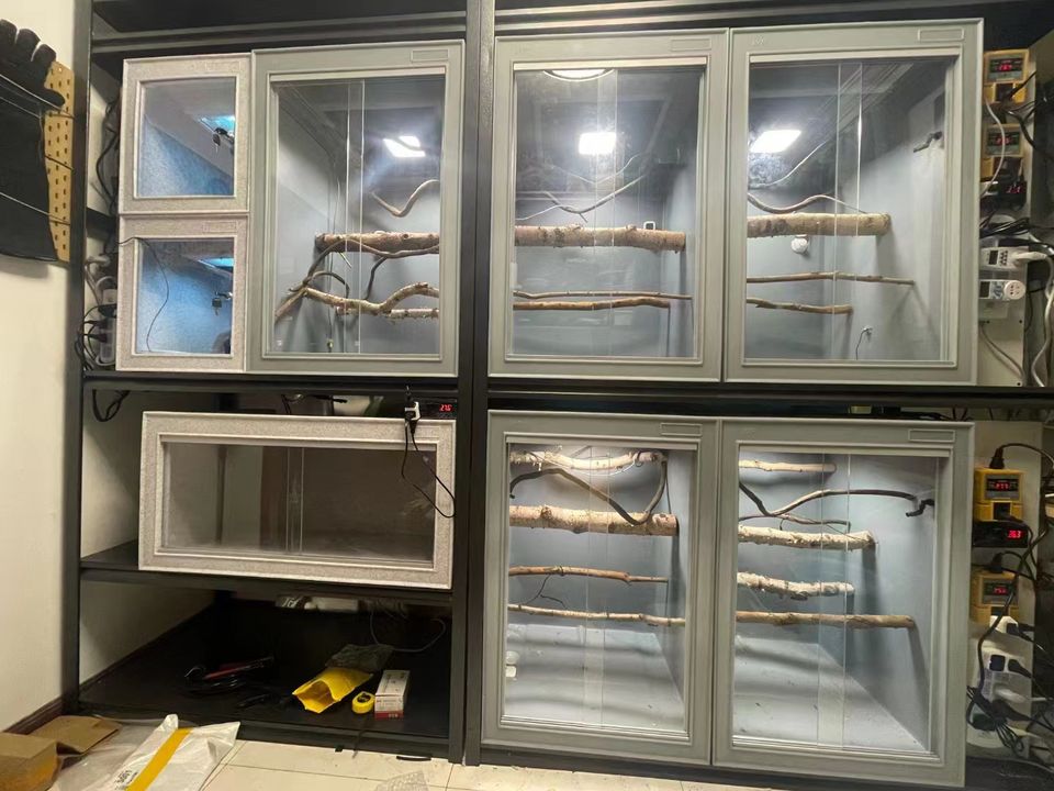 Custom PVC Reptile Display Cases Reptile Breeding Racks Acrylic Plastic ...