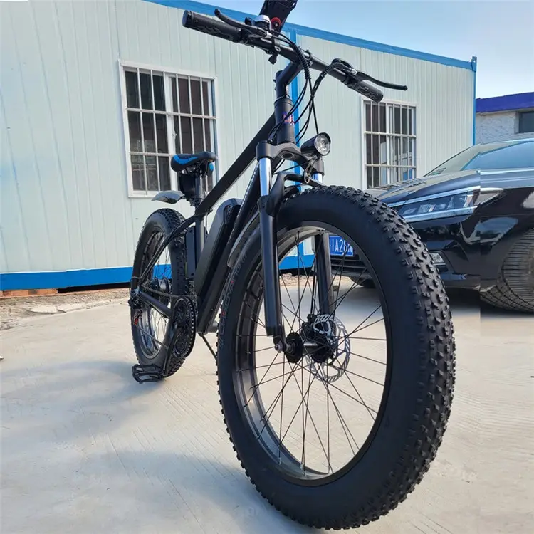 How to Choose the Best Electric Cycle for R2000: A Complete Buying Guide