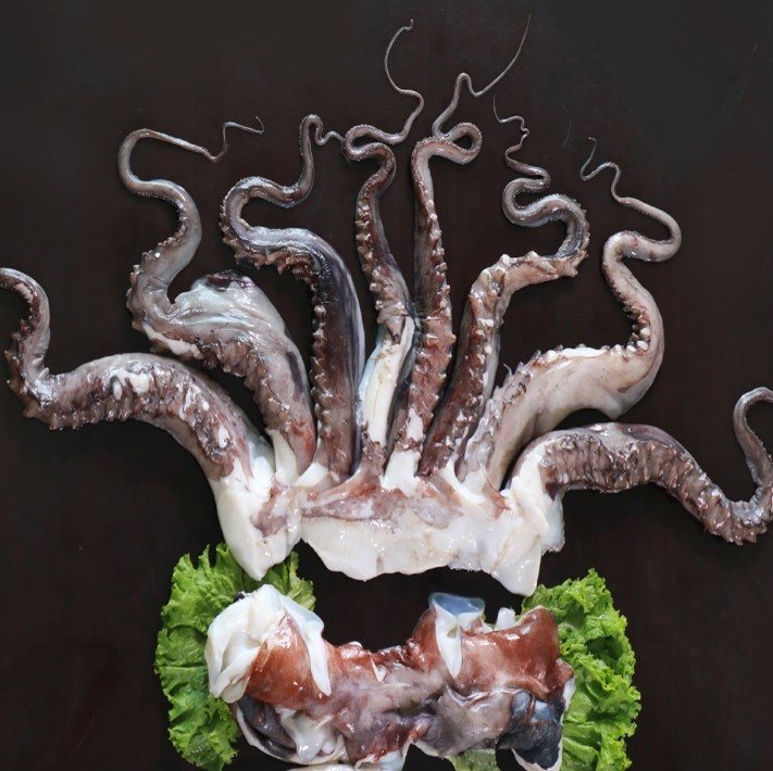 Buy In Bulk Giant Squid Dosidicus Gigas Peru Boiled Squid Fillet ...