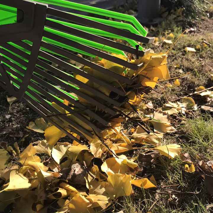 2 in 1 Handheld Splice Rake Long Handle Leaf Rake Garden Tool Garden ...