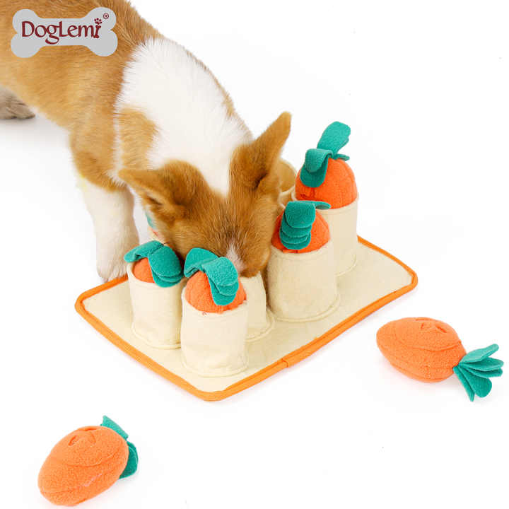 Educational toys for dogs store
