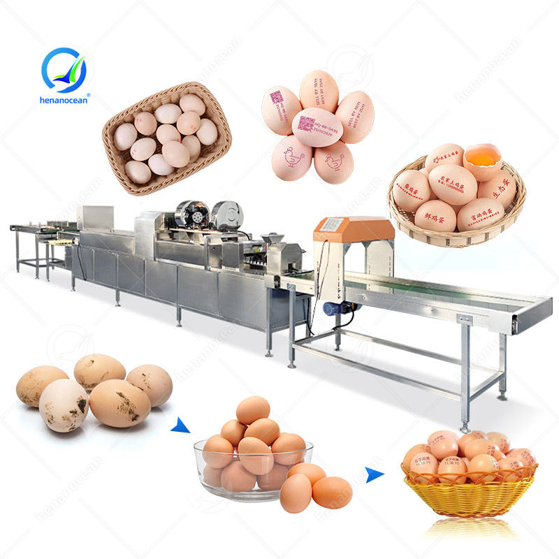 OCEAN Automatic Duck Egg Washer Machine Dirty Egg Clean Machine Quail ...