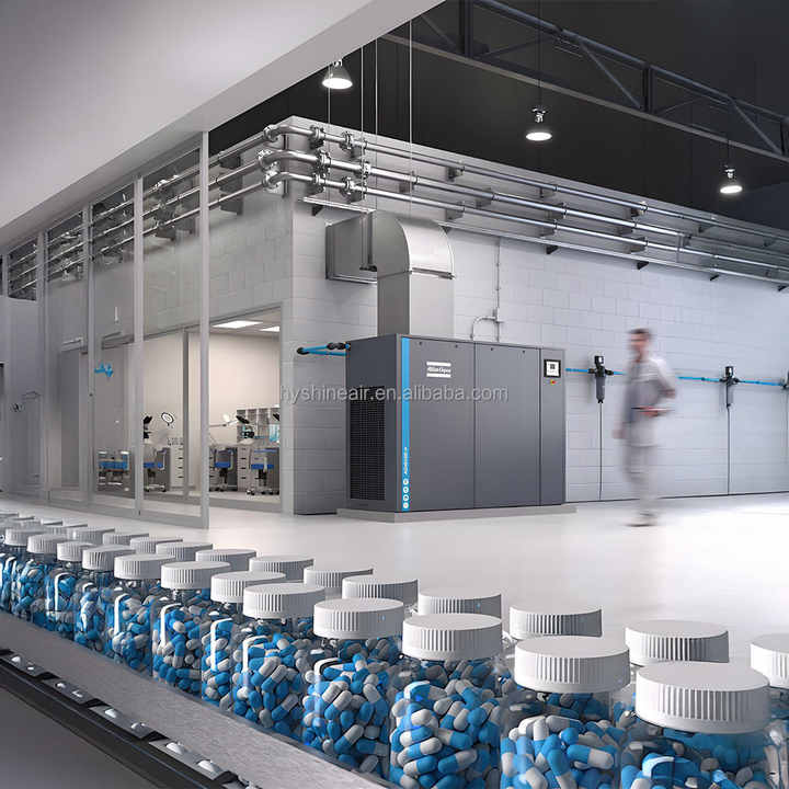 Atlas Copco AQ15 VSD Class 0 Oil-free Stationary Industrial Water ...