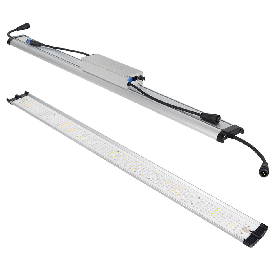 380-800nm 110lm/W 2umol/J CE ROHS SMD 2835 COB Dual Switch LED Strip ...