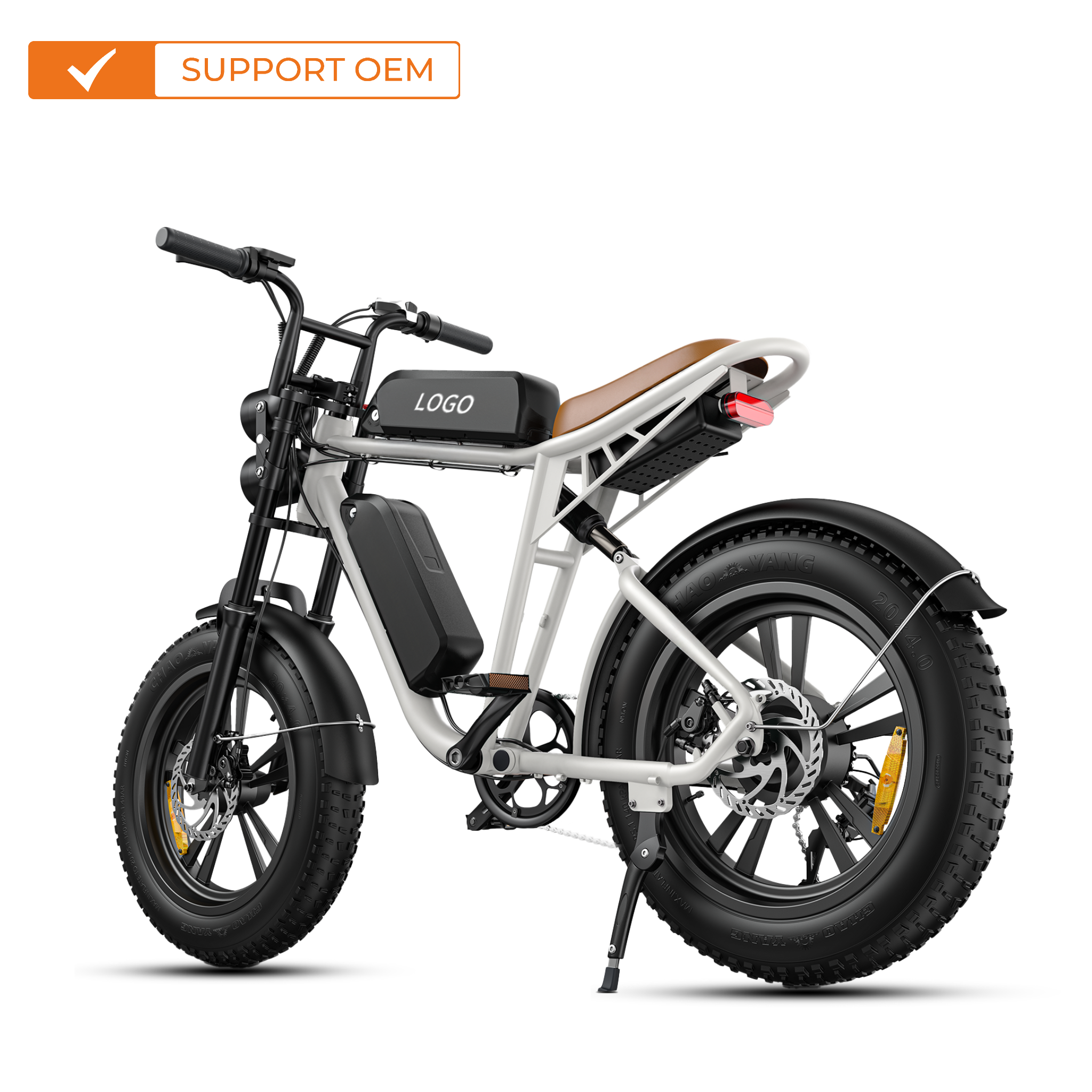 How to Choose the Best Electric Bike Dual Battery 250W Model