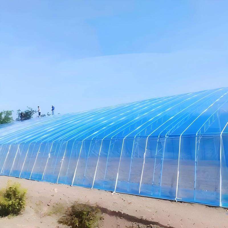Single-span Agricultural PO Film Large Plastic Shed Light-shielding ...
