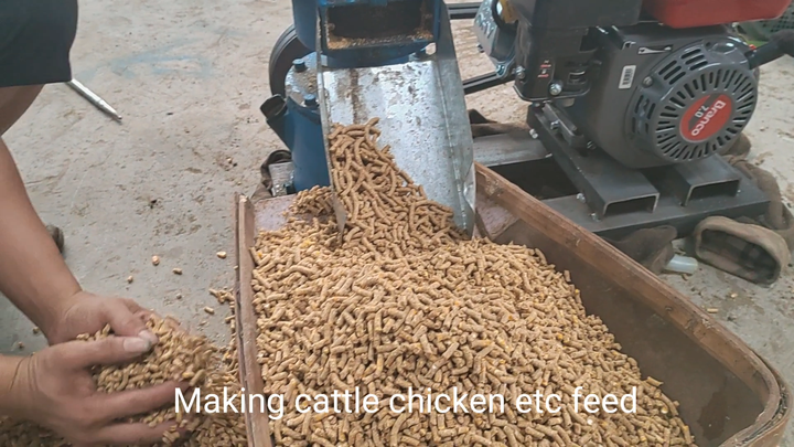 Factory Direct Sales Cheap Stock Diesel Feed Pellet Machine for Animal ...