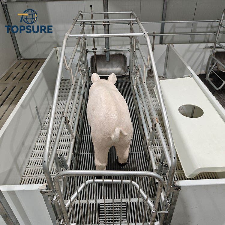 Advanced Long-lasting Sow Gestation Crate Pig Farrowing Equipment Sow ...