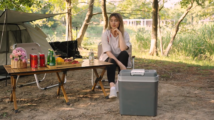 12V DC Portable Chest Refrigerator 30L caravan Camping Outdoor Fridge ...