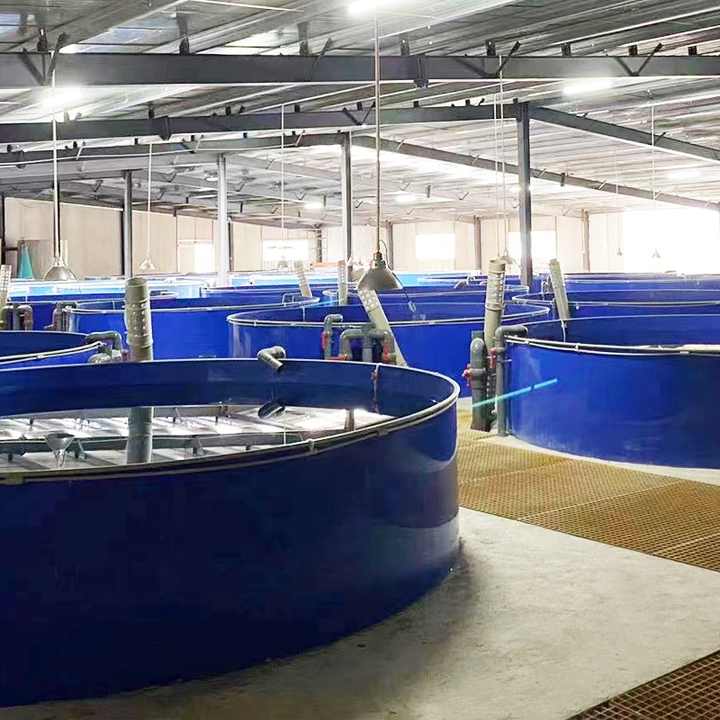 High Density Aquaculture Equipment for Indoor Tilapia Fish Farm