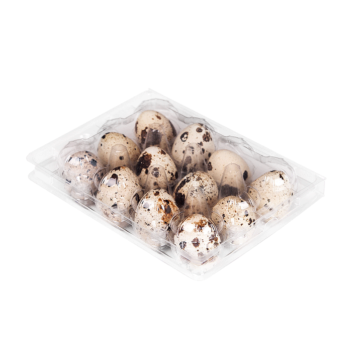 12 Holes clear Disposable Plastic Quail Egg Packaging Tray| Alibaba.com