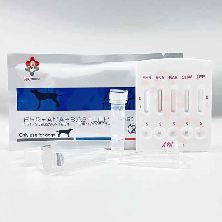 ISO Approved Veterinary Supplies - Rapid Test Kits for Dogs
