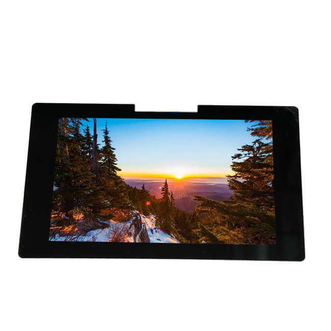 5.5 Inch TFT LCD Display Mini Projector Module 800x600