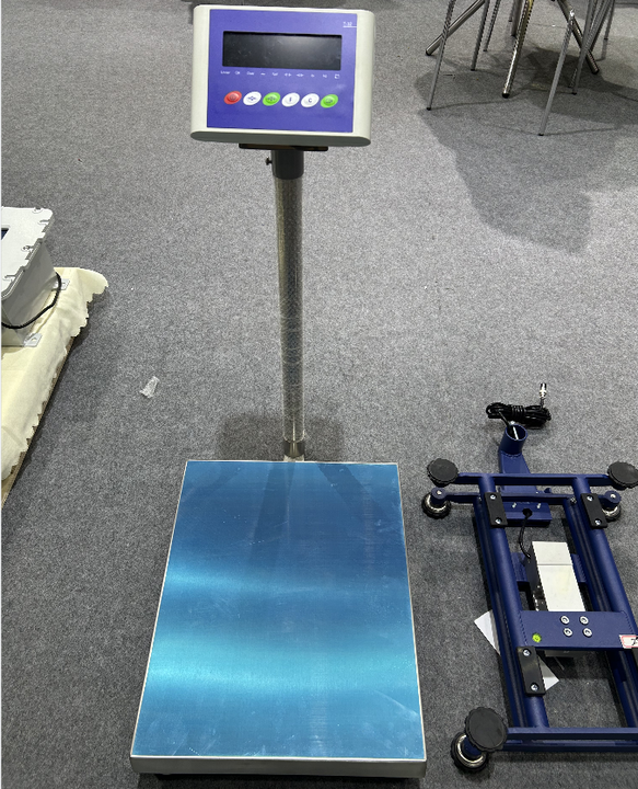 TCS Electronic Platform Scale 300kg - Precision Weighing