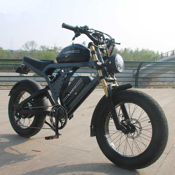 52V55Ah Dual Battery Off-road Ebike 20'' Fat Tires Electric Motorcycle Long Range Motorbike Full ...